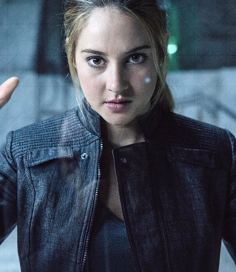 Divergent Caracters Flashcards | Memorang