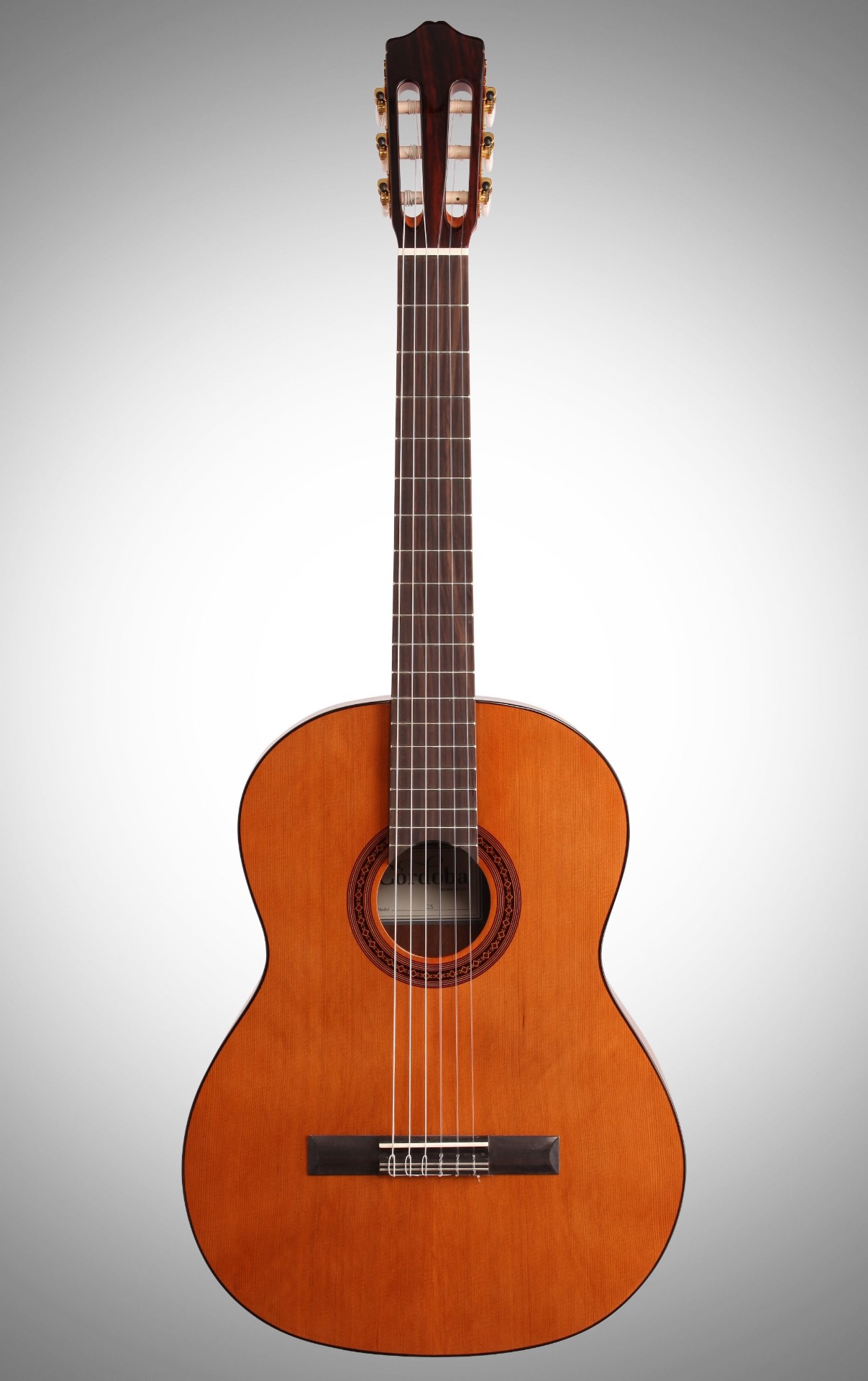 RANDOM Flashcards | Memorang