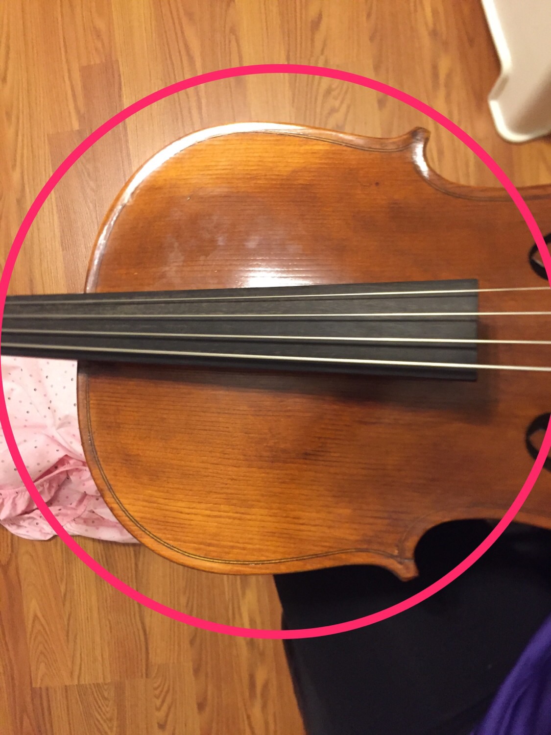 Cello anatomy Flashcards | Memorang