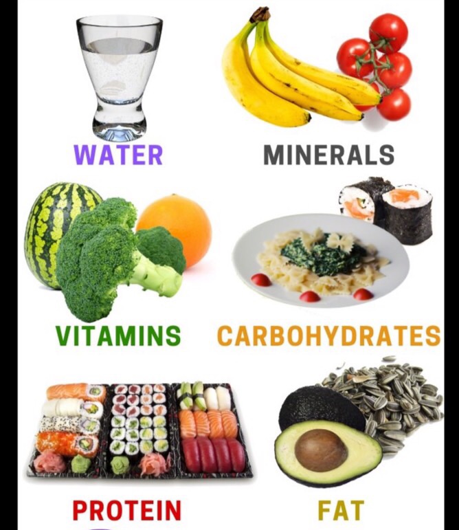 Science food and digestion system Flashcards | Memorang
