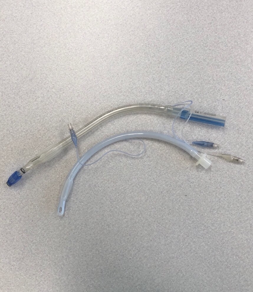 Airway, CV, Thoracic & Misc. Flashcards | Memorang