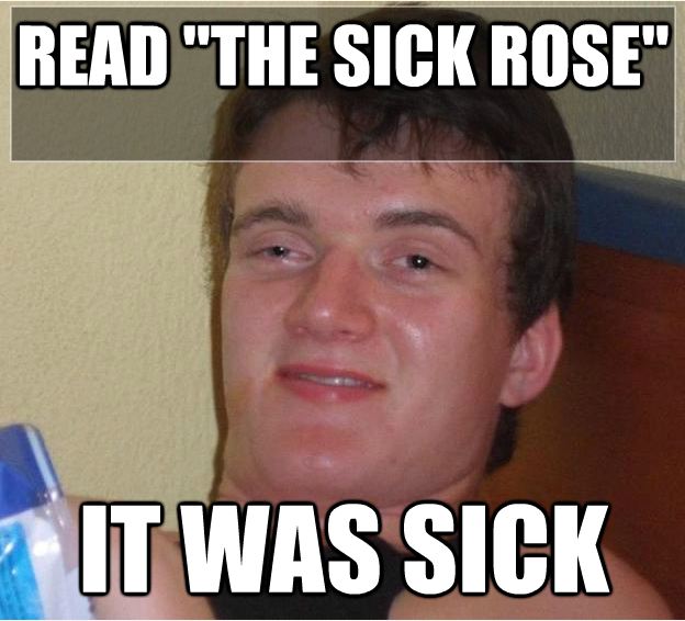 memes Flashcards | Memorang