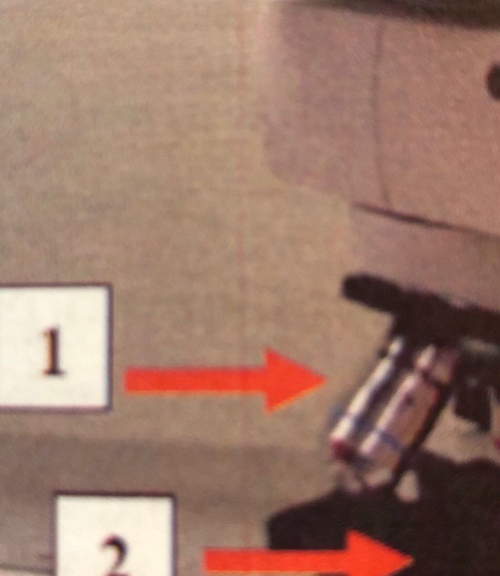 Bio Lab Practical Flashcards | Memorang