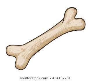 Practice set Flashcards | Memorang