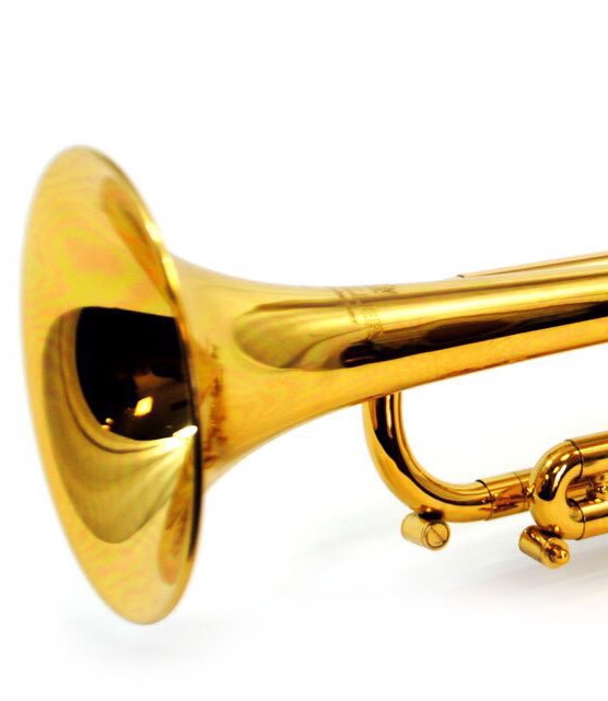 Instruments Flashcards | Memorang