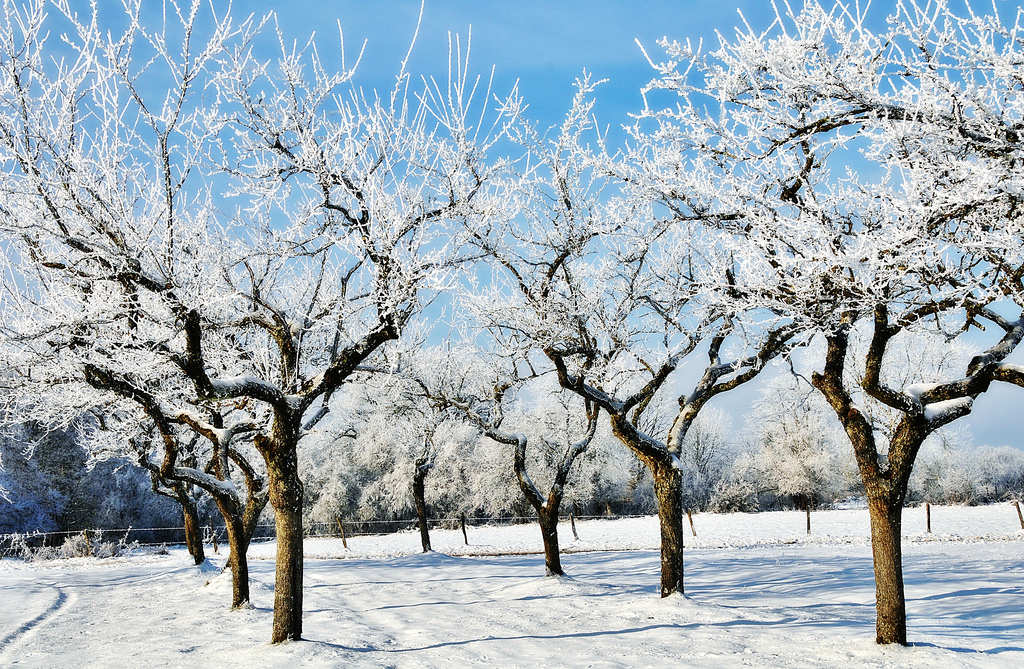 Chapter 2 Flashcards | Memorang