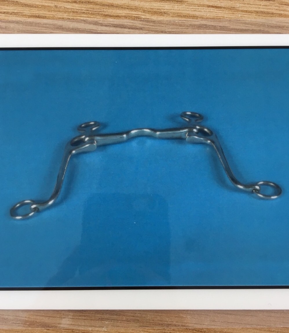 Draft, Driving, and Racing bits Flashcards | Memorang