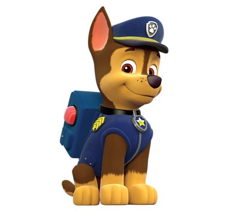 Paw Patrol Full Cast Flashcards | Memorang