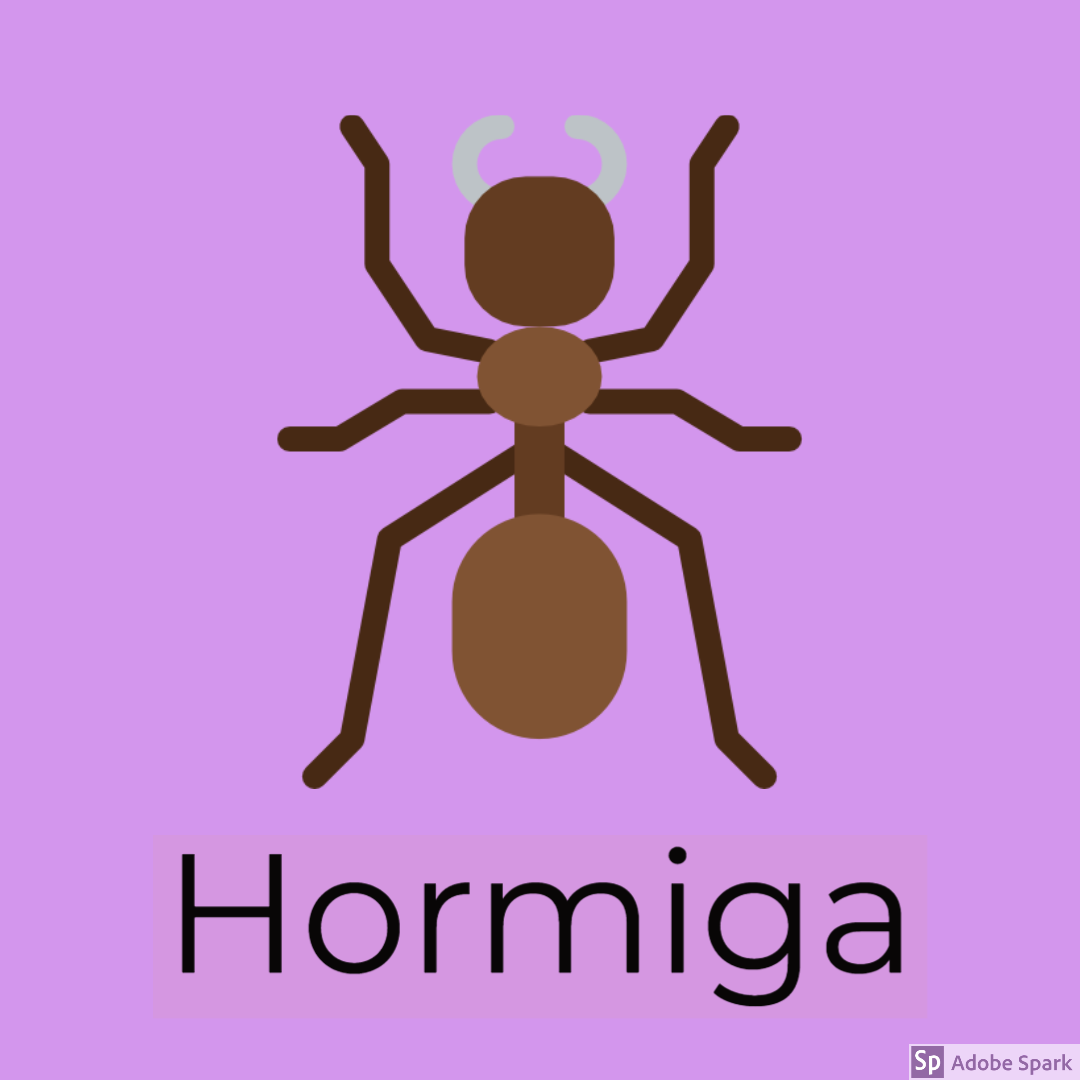 Insectos en inglés Flashcards | Memorang