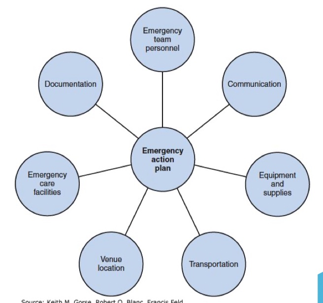 501 Risk Management flash cards Flashcards | Memorang