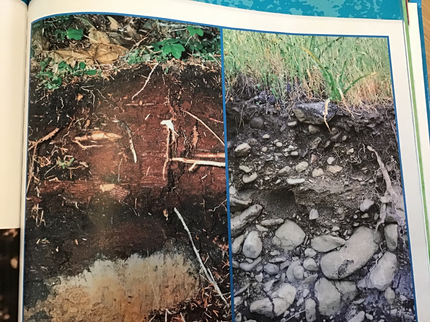 Soil, Rocks and landforms Flashcards | Memorang