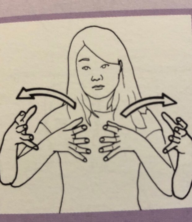 ASL (vocab. unit 3) 2019-2020 Flashcards | Memorang