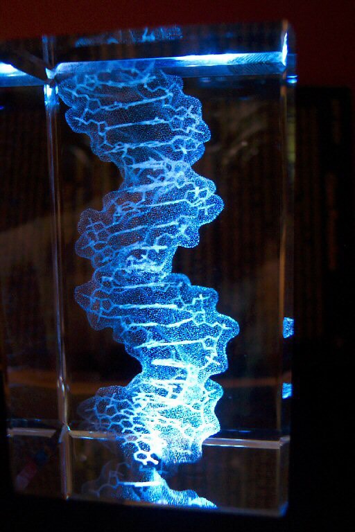 How to be lit Flashcards | Memorang