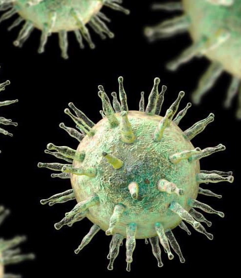 Learn the different types of germs! (Part 1) Flashcards | Memorang