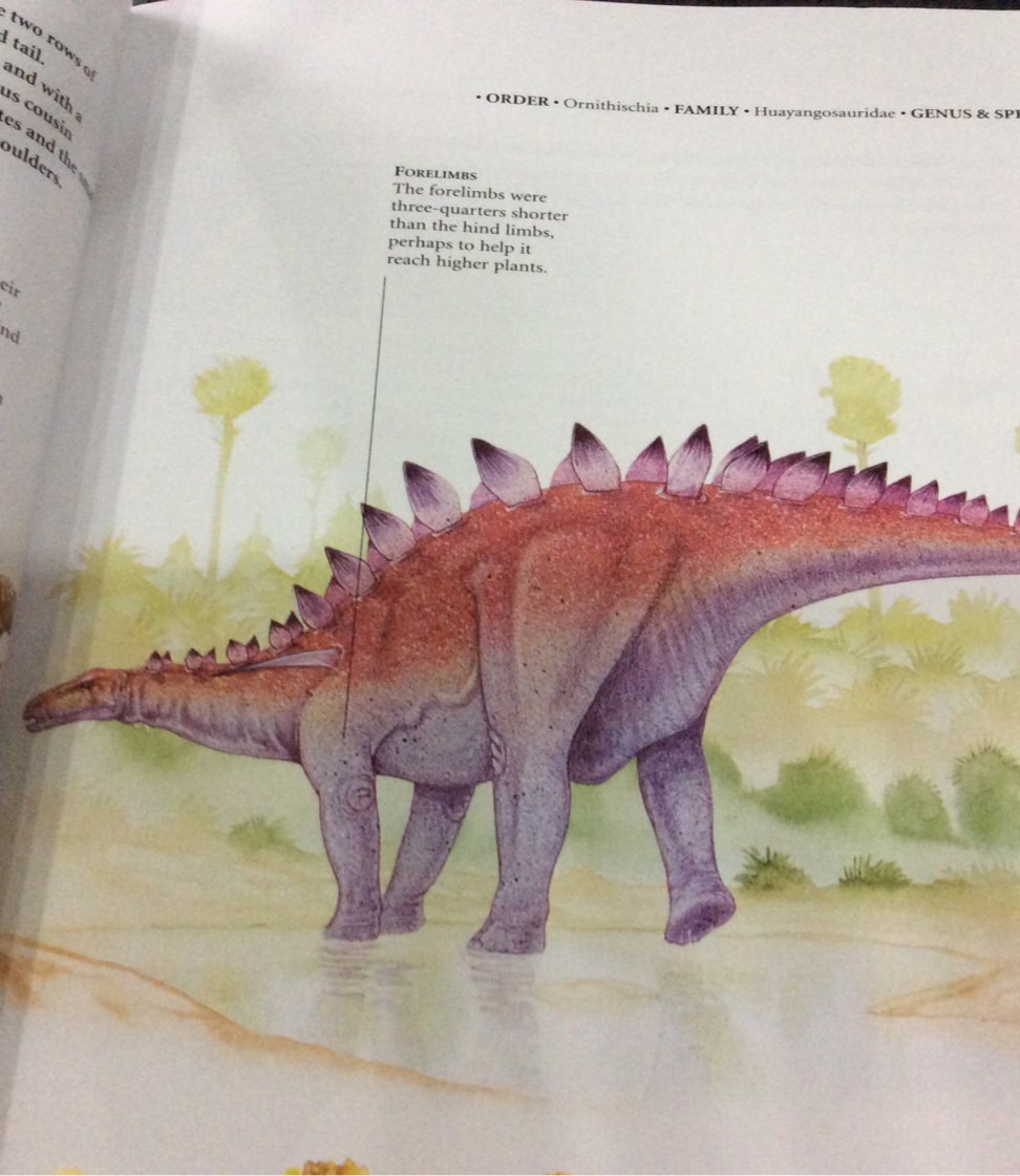 Stegosaurs Flashcards | Memorang