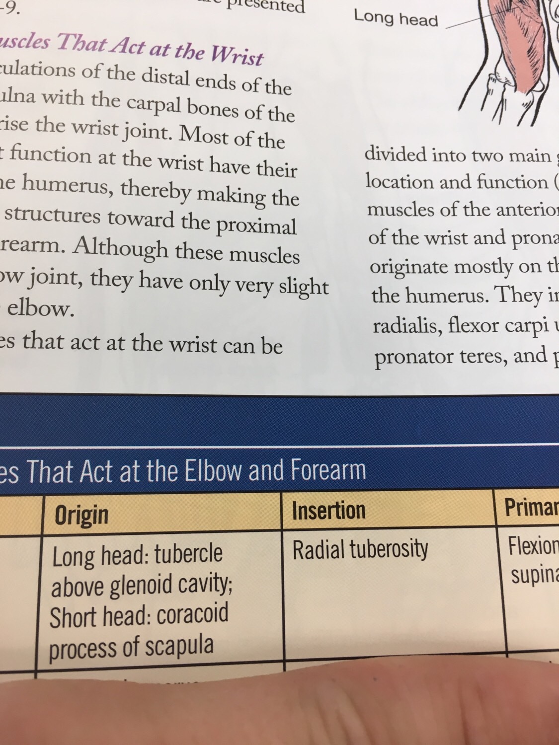 Muscles table 1-9 Flashcards | Memorang