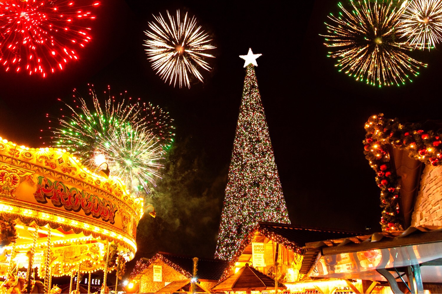 Vocabulary 8 Flashcards | Memorang