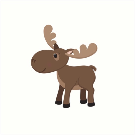 Norwegian Animals Flashcards | Memorang