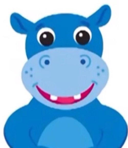 Baby Noah’s Animal Adventure Flashcards | Memorang