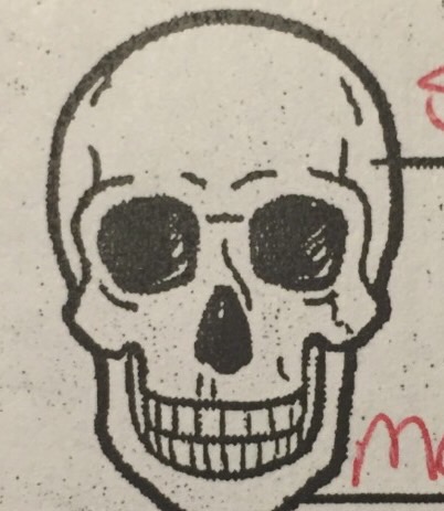 Main Bones Flashcards | Memorang