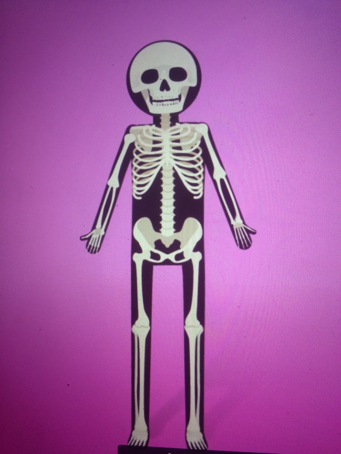 Anatomical Positions Flashcards Memorang