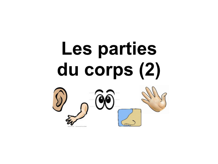Les parties du corps (2) Flashcards | Memorang