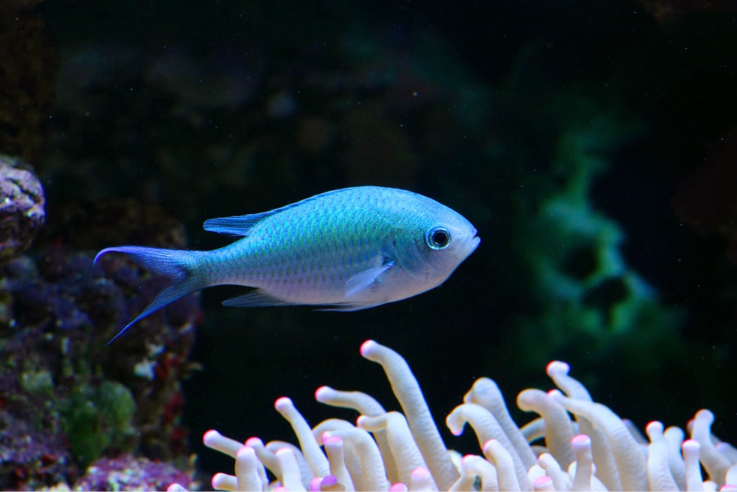 Los Baker van a Perú Ch 1 Flashcards | Memorang