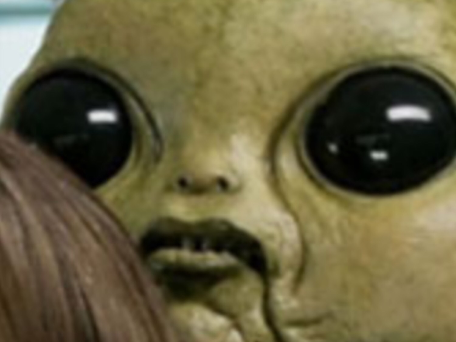 Slitheens Flashcards | Memorang