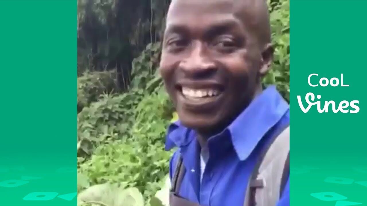 Vine Test Flashcards | Memorang