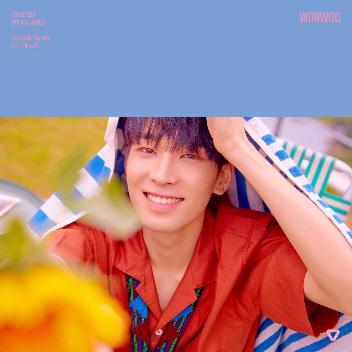 SEVENTEEN Flashcards | Memorang