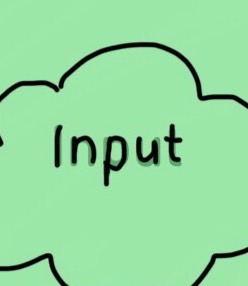 Scratch - Revision Flashcards | Memorang