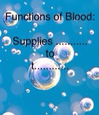 Blood Functions Flashcards | Memorang