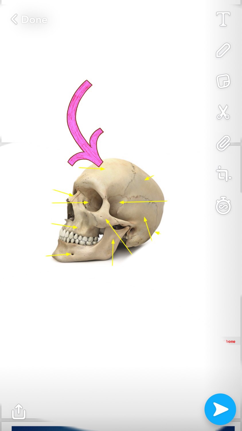 Basic pins part 1 Flashcards | Memorang