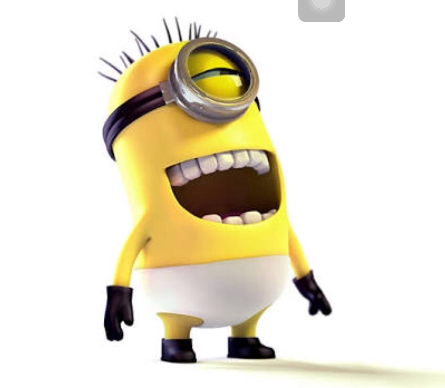 Random stuff Flashcards | Memorang