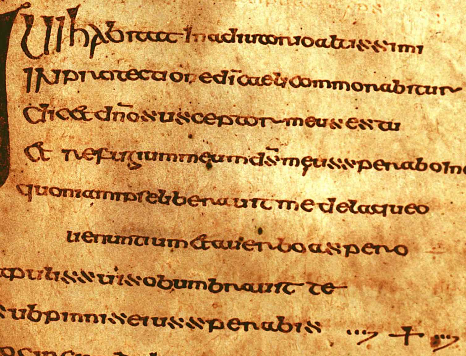 Palaeography Script Images 4 Flashcards | Memorang