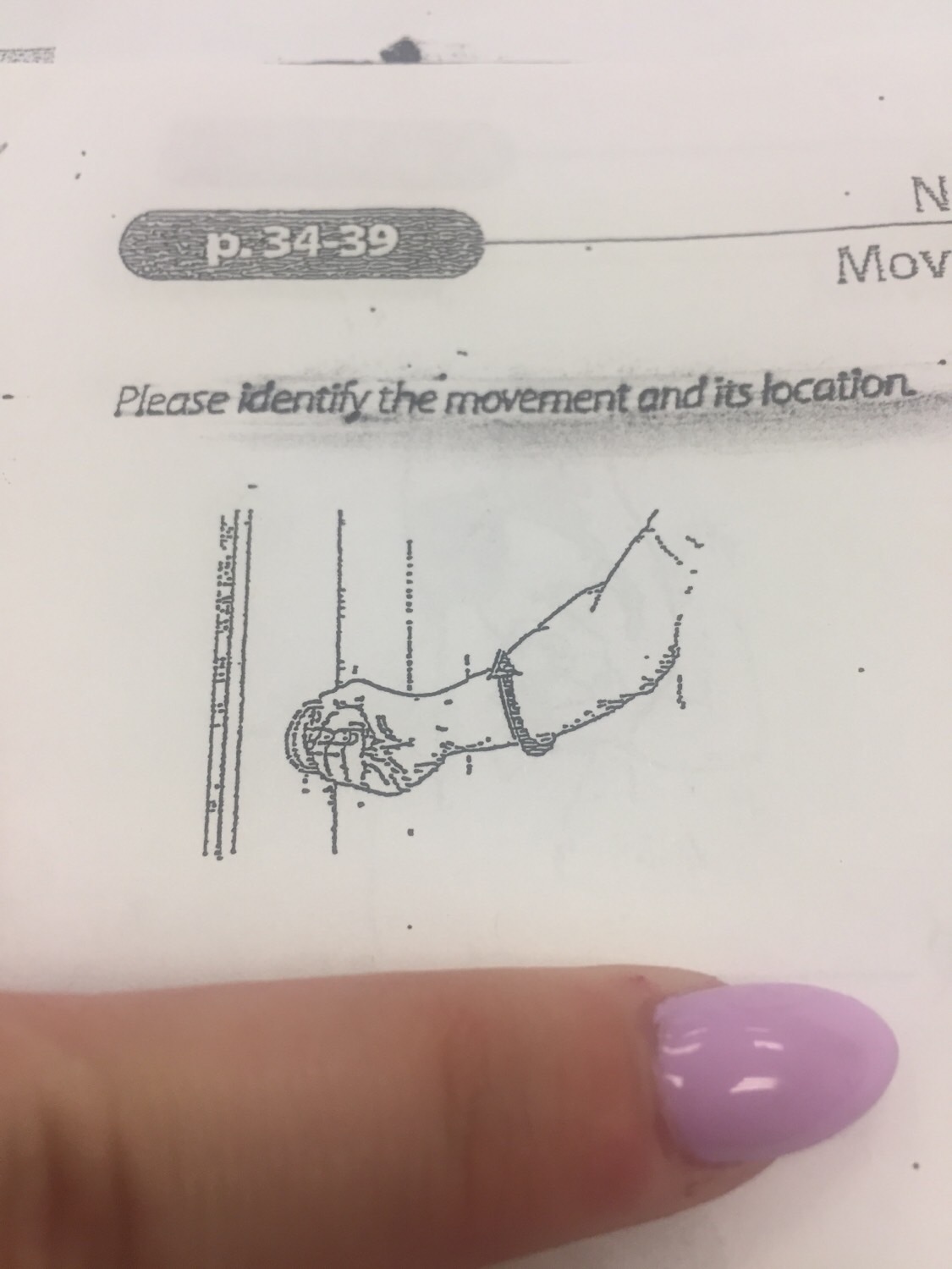 Movements of the body Flashcards | Memorang