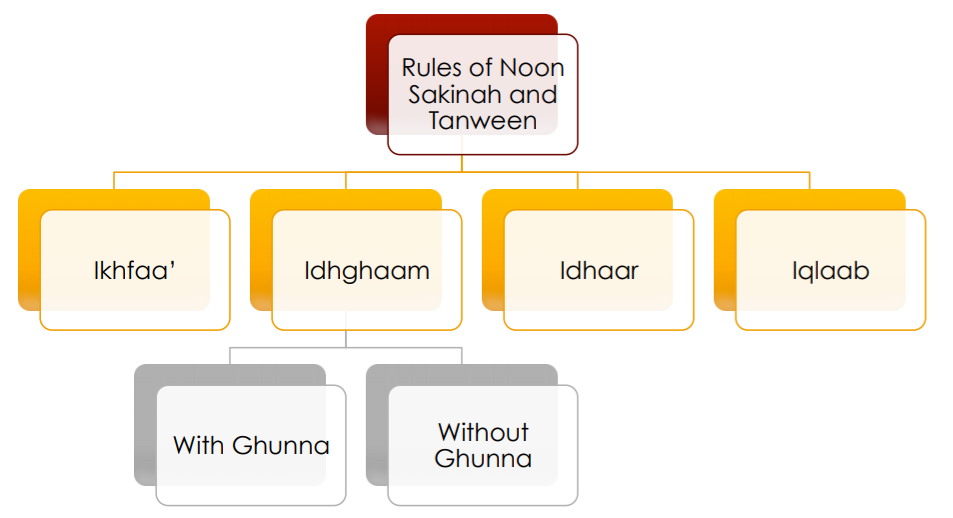 ultimate tajweed study guide Flashcards | Memorang