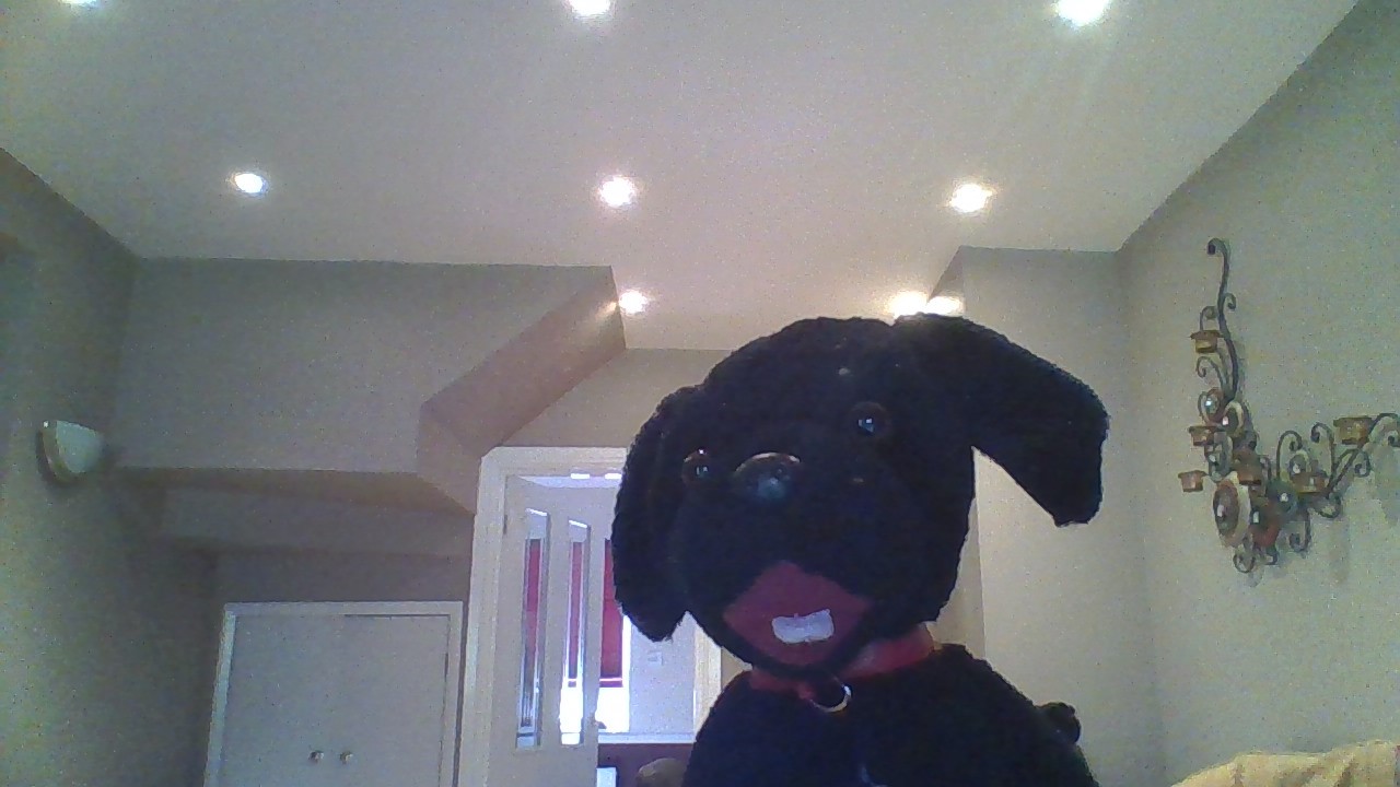 English Flashcards | Memorang