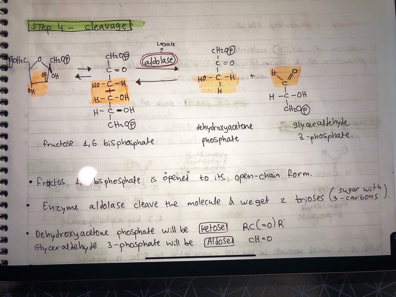 Pathways C2 Flashcards | Memorang