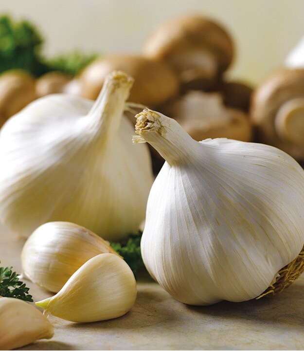 French Vegetables (Les Légumes Françai) Flashcards | Memorang