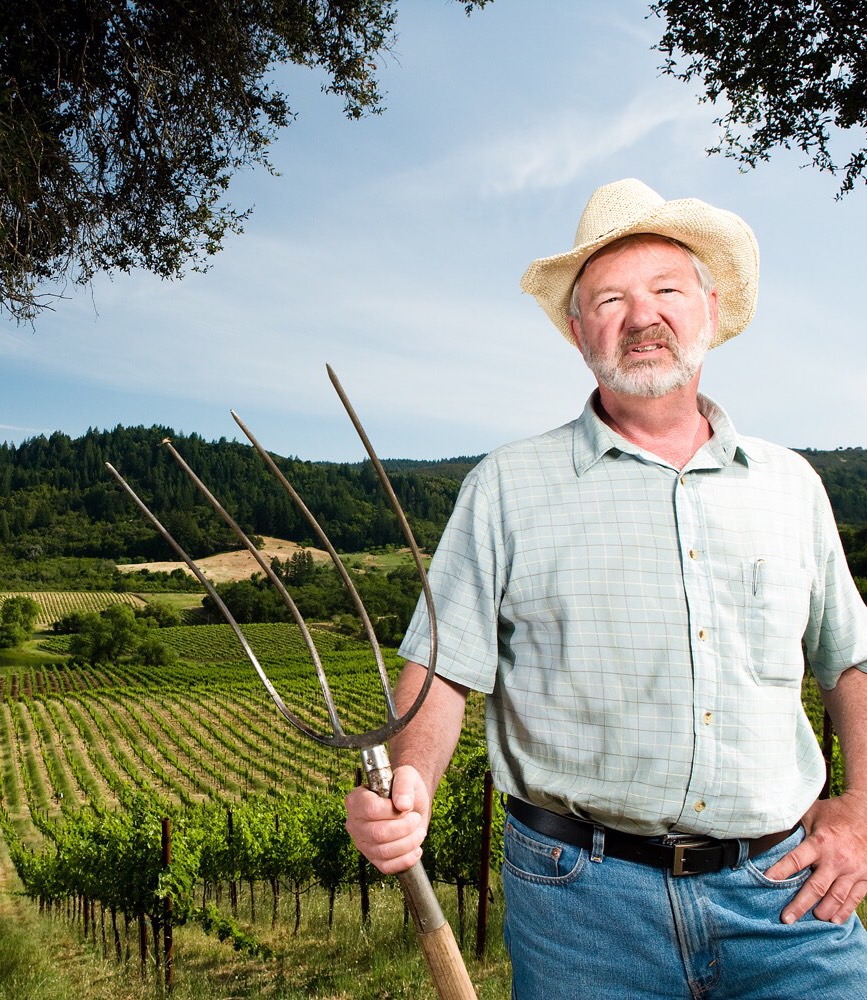 The lazy worms Flashcards | Memorang