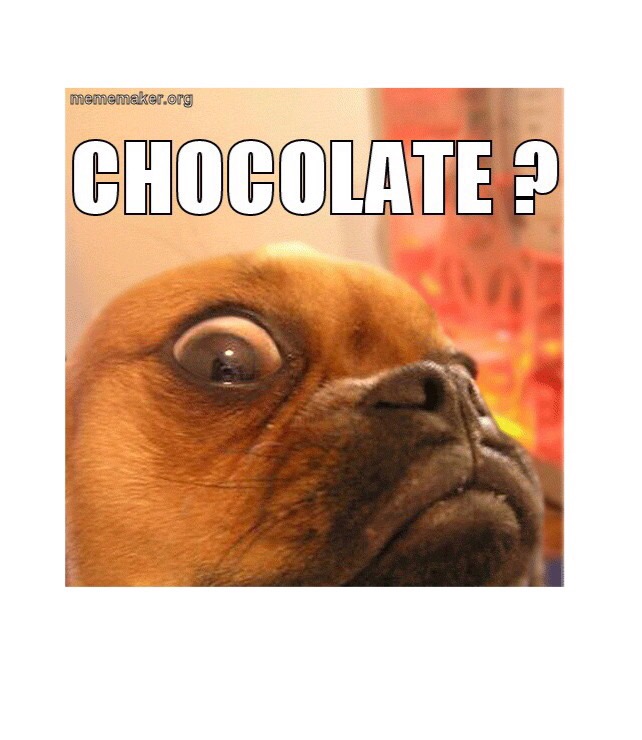 Memes Flashcards | Memorang