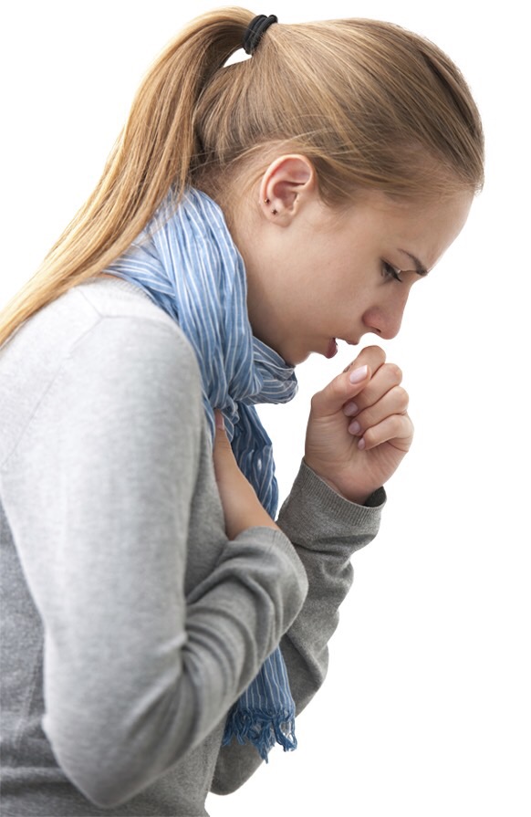 SIP Españish IV Flashcards | Memorang