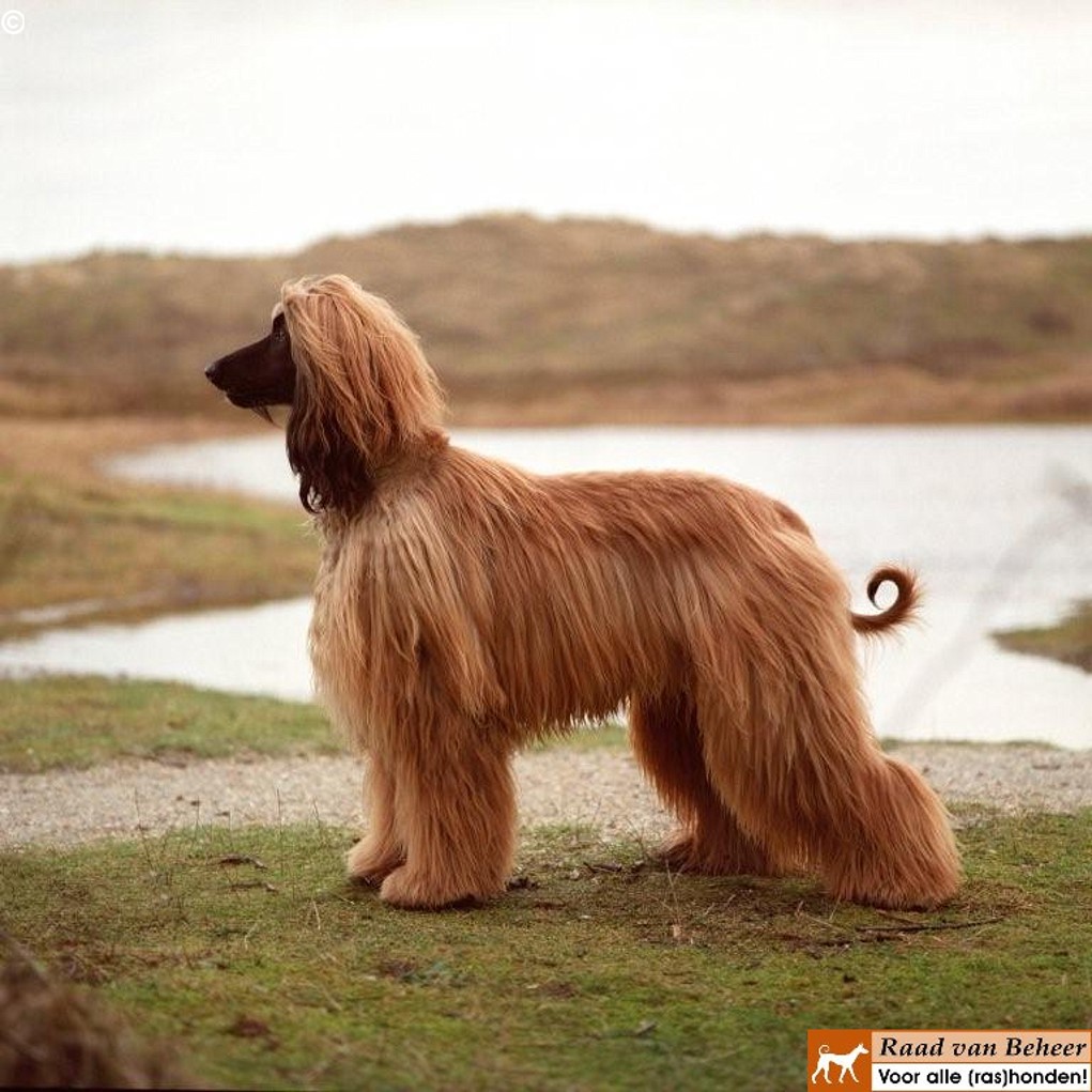 fci 10 Flashcards | Memorang