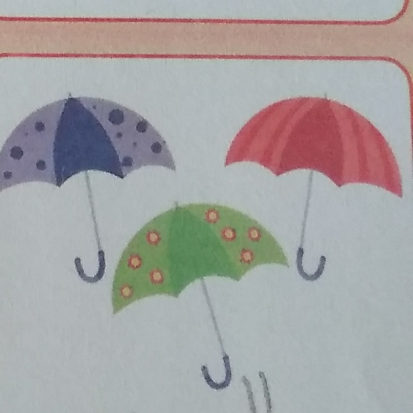 Activities 2 Flashcards | Memorang