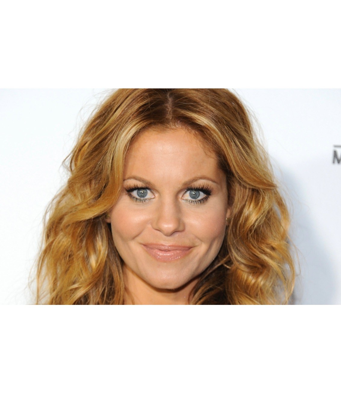 characters in fuller house Flashcards | Memorang