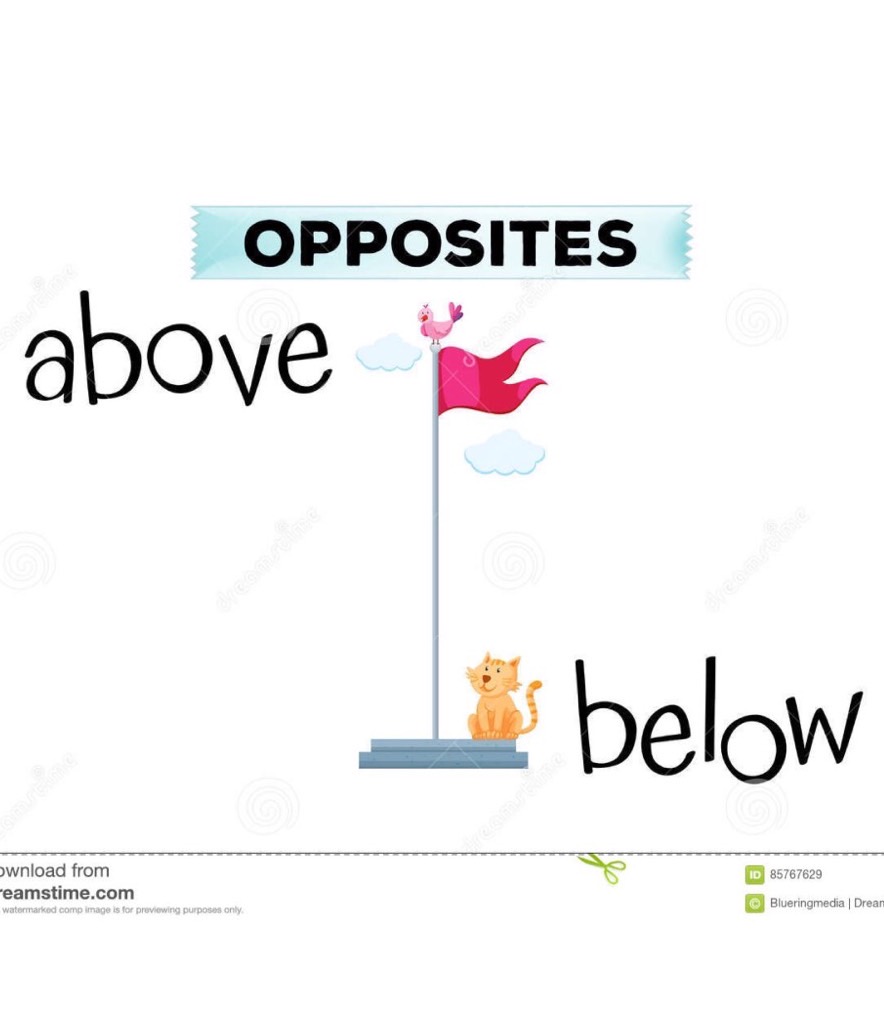 Word Review Flashcards | Memorang