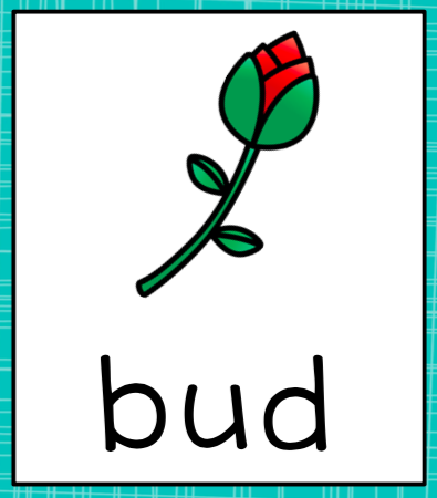 Short U CVC words Flashcards | Memorang