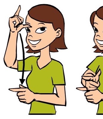 ASL Basics/Baby Sign Language Basics 1 - Brief Flashcards | Memorang