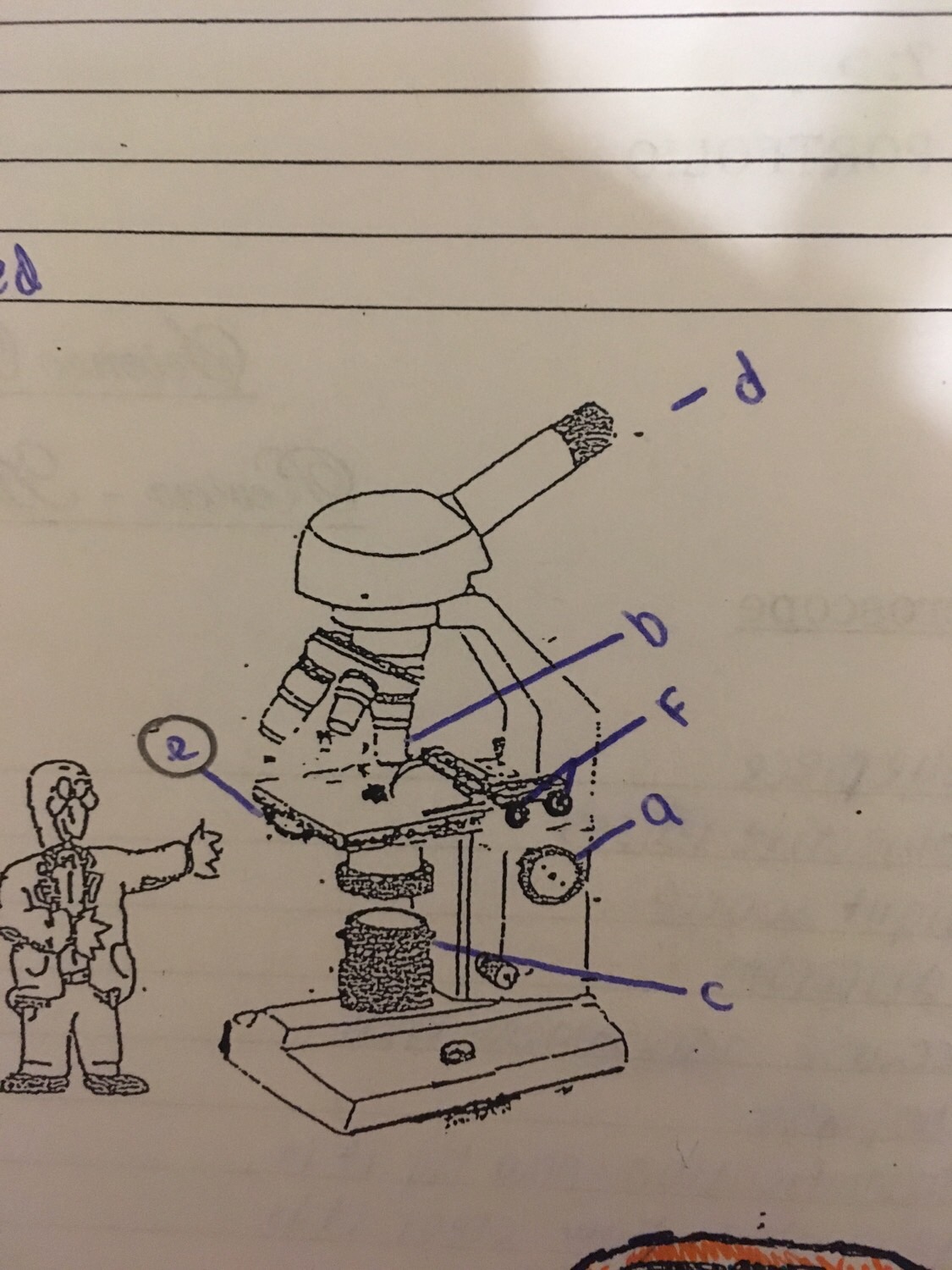 Exam Flashcards | Memorang